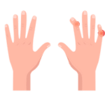 Body Parts Name Female In English With Pictures