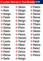 5 Letter Words With E I N In The Middle