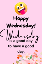 60+ Funny Wednesday Quotes Genuinely Make You Laugh