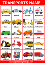 Transport Names List | Means Of Transport