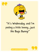 50+ Funny Wednesday Quotes And Images
