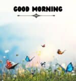 400+ HD Good Morning Images, Pictures, Photos & Wishes » December 2025