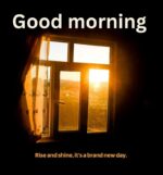 365 Best Good Morning Nature Images, Wishes & Quotes 2026