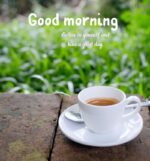 365 Best Good Morning Nature Images, Wishes & Quotes 2026