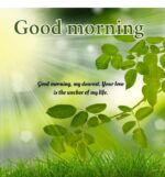 365 Best Good Morning Nature Images, Wishes & Quotes 2026