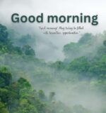 365 Best Good Morning Nature Images, Wishes & Quotes 2026