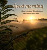 365 Best Good Morning Nature Images, Wishes & Quotes 2026