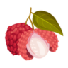 50 Different Chinese Fruits Name And Pictures
