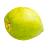 Top 50 Tropical Fruits List And Pictures