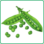 Top 10 Name A Green Vegetable You Should Know