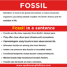 Fossil In A Sentence: Examples
