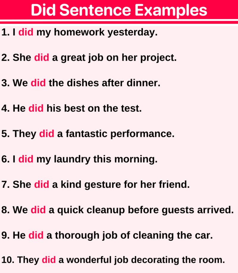 100 Best Did Sentence Example 100 Best Did Sentence Example