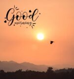 Collection Of New Good Morning Images, Quotes, Wallpaper & Wishes