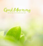 Collection Of New Good Morning Images, Quotes, Wallpaper & Wishes