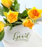 Beautiful Good Morning Yellow Rose Images