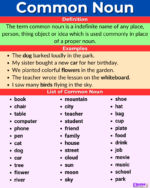 Common Noun: Definition, List Of Words & Examples