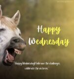 78+ Happy Wednesday Images And Photos FREE