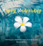 78+ Happy Wednesday Images And Photos FREE